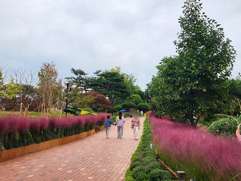 대전 유성국화축제 행사안내 유림공원 : 네이버 블로그