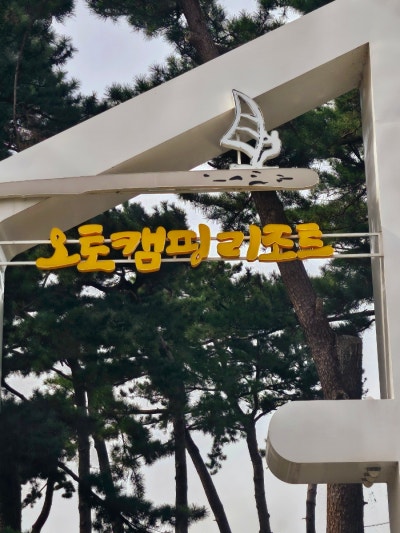 동해망상 자동차캠핑장 망상오토캠핑리조트 데크가격 할인팁 네이버 블로그
