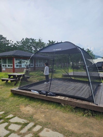 동해망상 자동차캠핑장 망상오토캠핑리조트 데크가격 할인팁 네이버 블로그