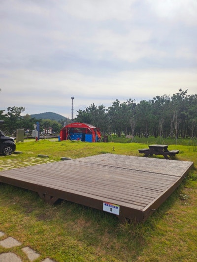 동해망상 자동차캠핑장 망상오토캠핑리조트 데크가격 할인팁 네이버 블로그