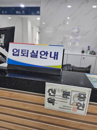 동해망상 자동차캠핑장 망상오토캠핑리조트 데크가격 할인팁 네이버 블로그