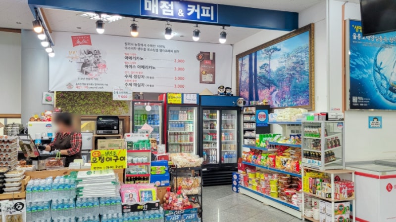후포 울릉도배편 예약 소요시간 차량 선적 할인에이치해운 울릉썬플라워크루즈 네이버 블로그