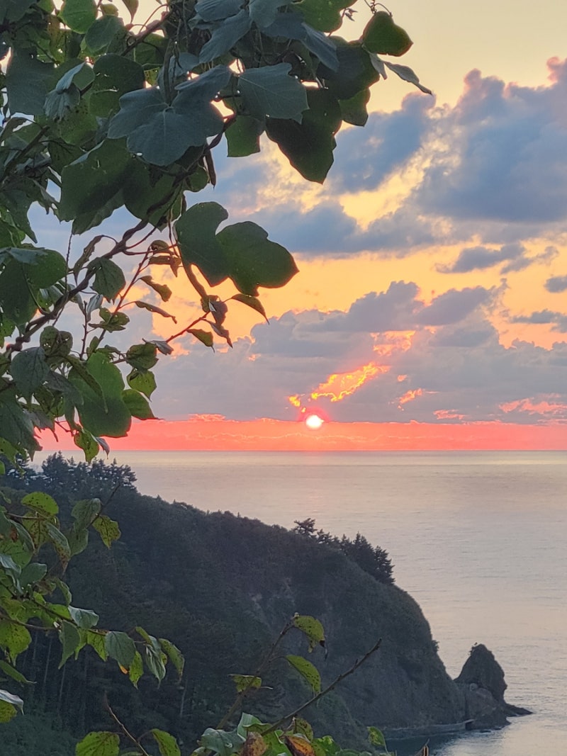 후포 울릉도배편 예약 소요시간 차량 선적 할인에이치해운 울릉썬플라워크루즈 네이버 블로그
