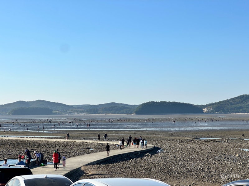 충남 태안 진산리어촌계 갯벌체험장 물때 가격 준비물 내돈내산 네이버 블로그