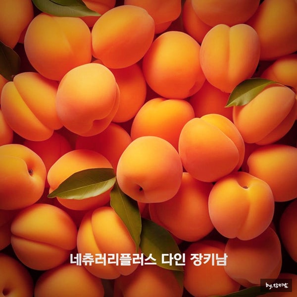 살구 말린 살구 효능 부작용 수확 시기 부작용 칼로리 네이버 블로그