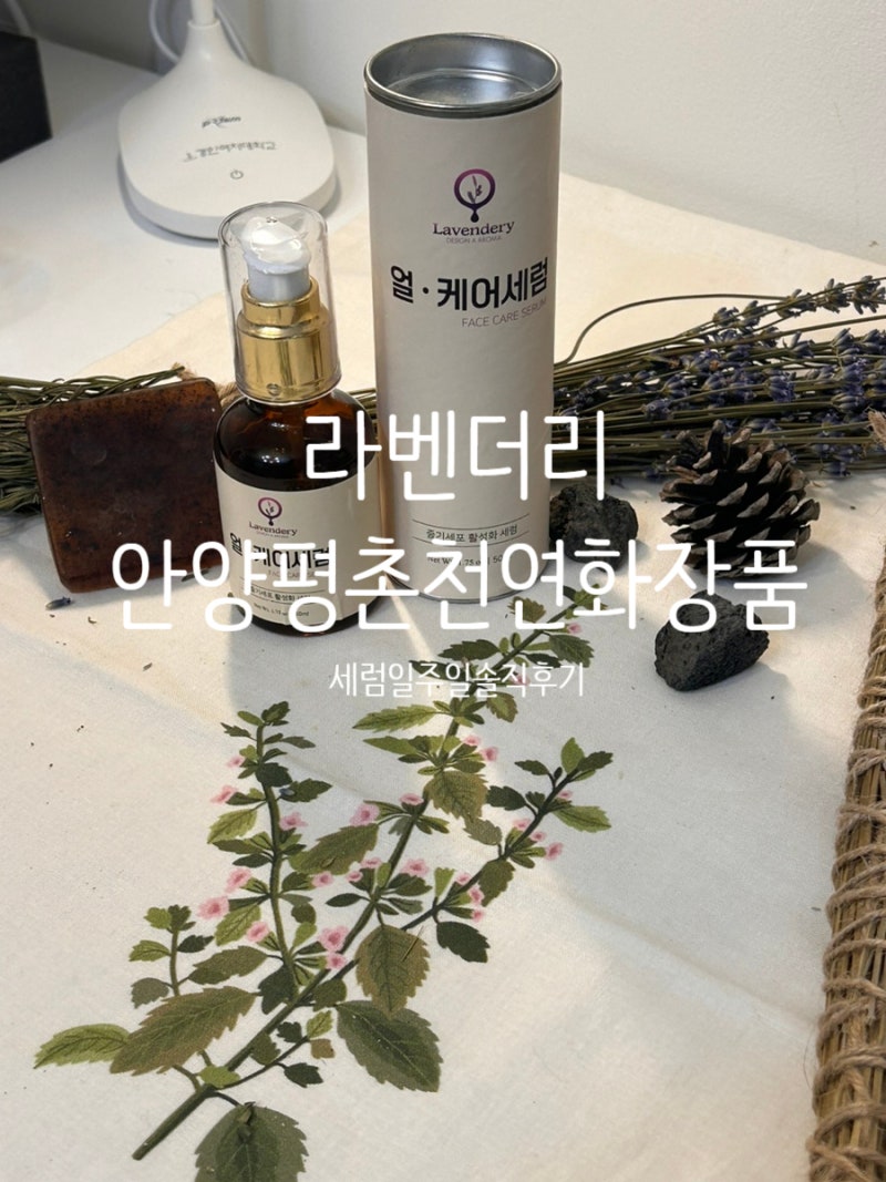 라벤더리 안양화장품공방 만들어진 세럼 사용해 봤어요 네이버 블로그
