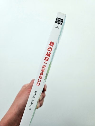 체리 새우비밀 글입니다 줄거리 청소년 성장 소설책 리뷰 황영미 네이버 블로그