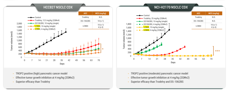 리가켐바이오 LCB84 : 폐암 1차 치료제 시장에서 얀센의 히든카드 : 네이버 블로그