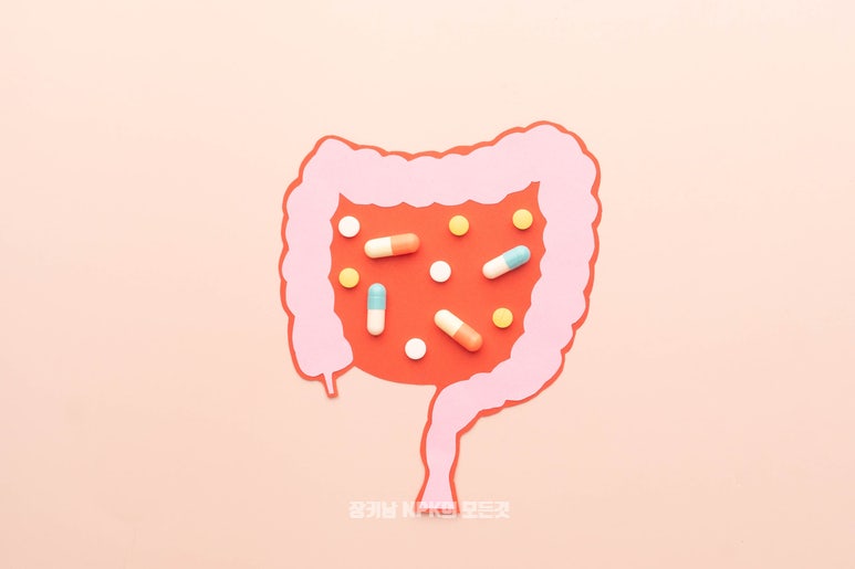 유산균 언제먹나요 섭취시간 복용방법과 효과 및 주의할점 네이버 블로그
