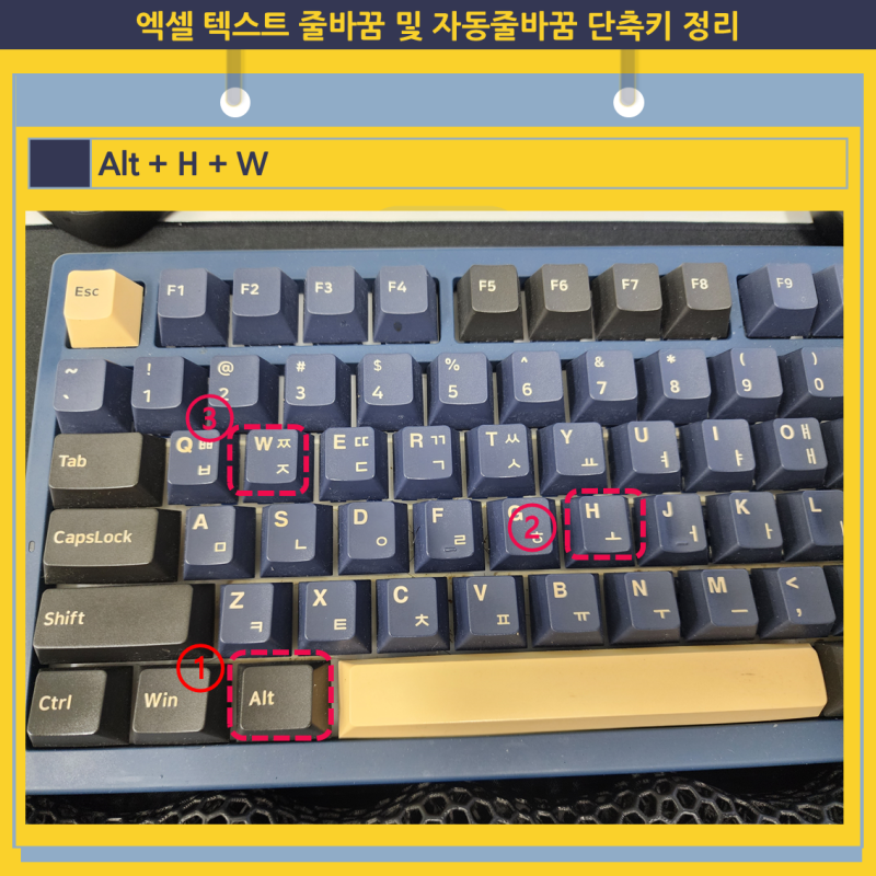 엑셀 텍스트 줄바꿈 및 자동줄바꿈 단축키 정리 네이버 블로그