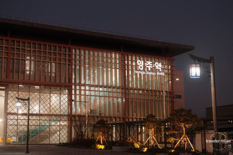 코레일 백두대간협곡열차 예매and가격 맛집까지 철암 영주 이용정보 총정리 뚜벅이 여행 네이버 블로그