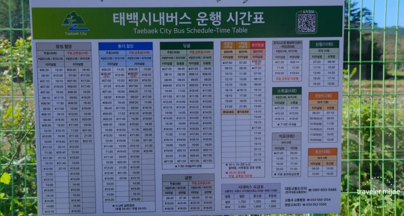 코레일 백두대간협곡열차 예매and가격 맛집까지 철암 영주 이용정보 총정리 뚜벅이 여행 네이버 블로그