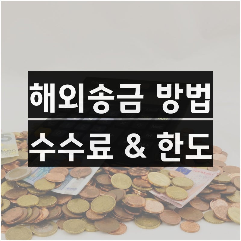 카카오뱅크 카뱅 해외송금 후기 방법 수수료 한도 정리 네이버 블로그