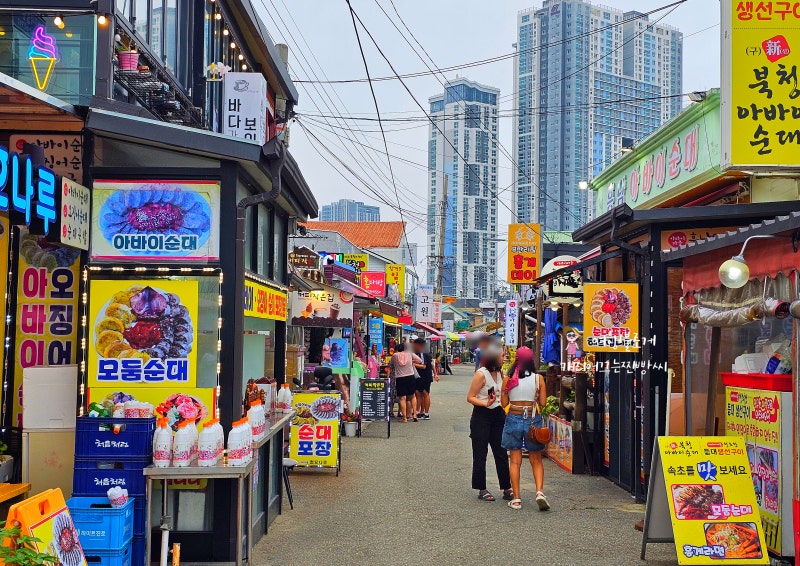 속초여행 2박 3일 코스 속초 양양 놀거리 실내 포함 네이버 블로그
