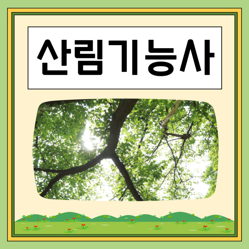 산림기능사 자격증 2025 대비 자세한 필기 실기 시험정보 총정리 네이버 블로그