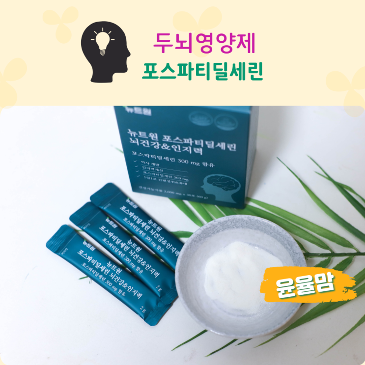 바닷가 코앞 태안 풀빌라 펜션 구공스테이 린더버그