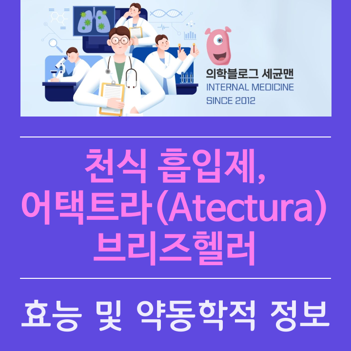 천식 흡입기, 어택트라(Atectura) 브리즈헬러의 효능 및 약동학적 정보 : 네이버 블로그