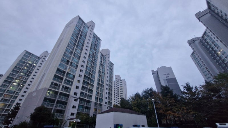 월세 계약 순서 필요서류 계약기간 특약 유의점 한 번에 정리 네이버 블로그