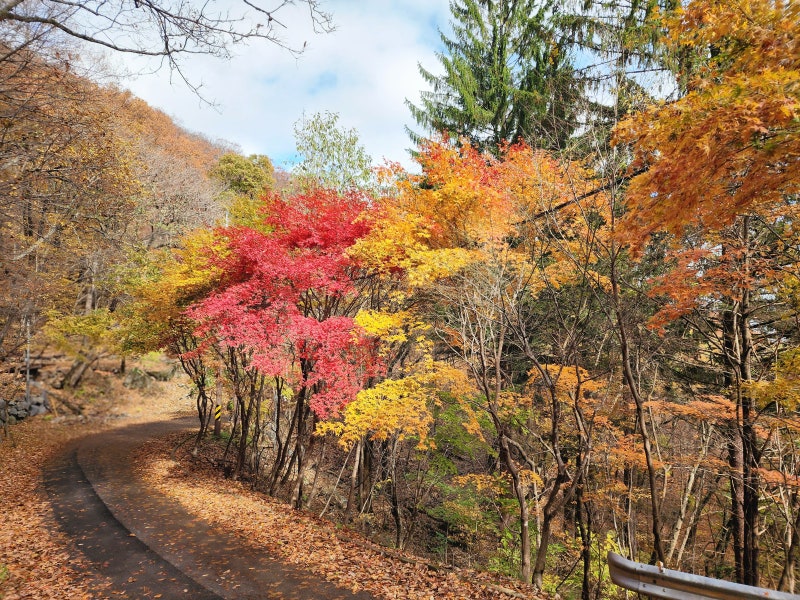 가을 가볼만한곳 단풍놀이 최고의 명소 추천 전북 무주 여행지 리스트적상전망대 안국사머루와인동굴 네이버 블로그