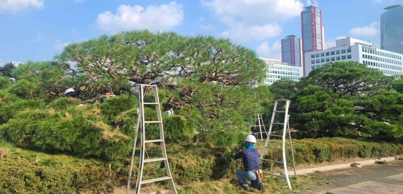 서울 국회의사당 역사와 시설 주차 국회체험관and어린이박물관 견학 예약 전시관람 프로그램 네이버 블로그