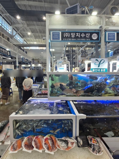 수원 농수산물 도매시장 대방어 대하 활어회 맛집 망치수산 네이버 블로그