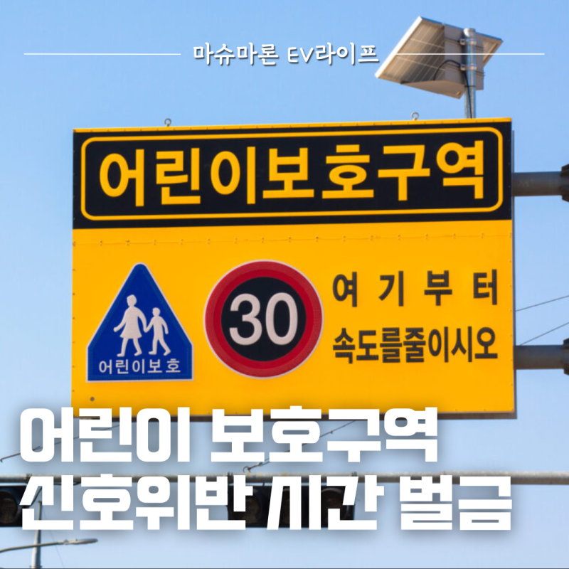 어린이보호구역 신호위반 시간 과태료 네이버 블로그