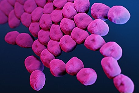 MRAB가 무엇일까요? 정의와 위험성, 감염경로에 대해서 알아봐요~ : 네이버 블로그