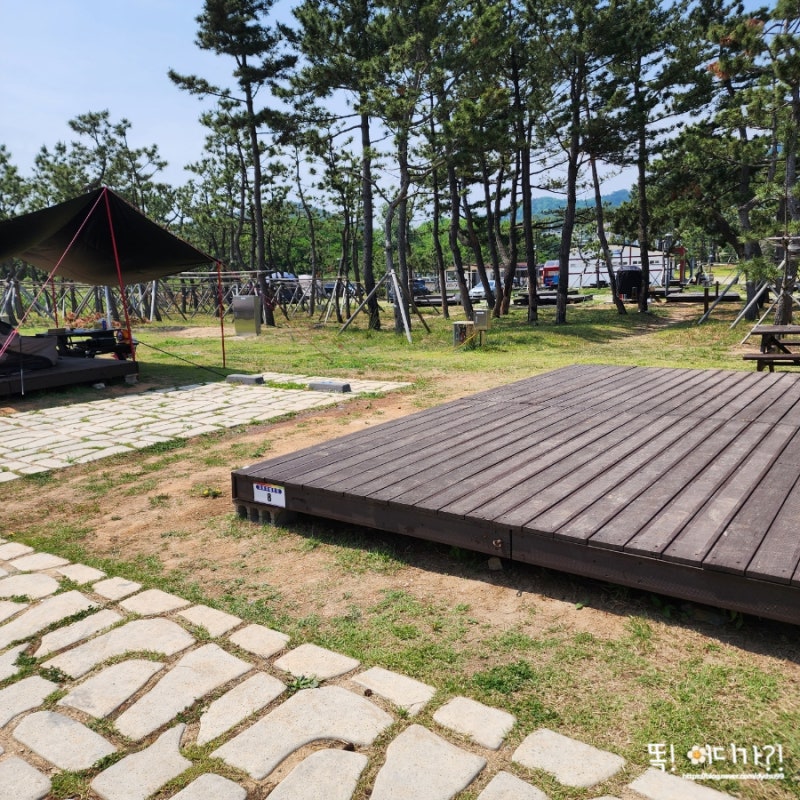 동해바다 앞 캠핑장 망상오토캠핑리조트 완벽그자체 네이버 블로그