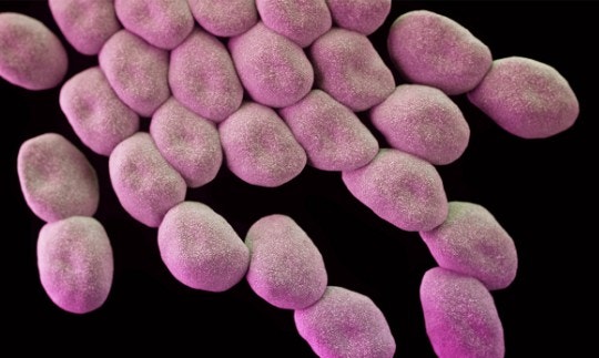 MRAB가 무엇일까요? 정의와 위험성, 감염경로에 대해서 알아봐요~ : 네이버 블로그