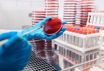 MRAB가 무엇일까요? 정의와 위험성, 감염경로에 대해서 알아봐요~ : 네이버 블로그