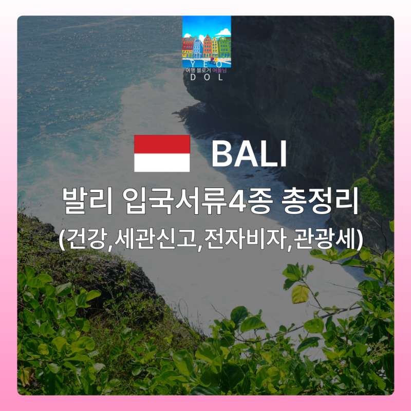 발리여행 입국서류 및 작성방법 총정리 건강신고 세관신고 전자비자 관광세까지 총 정리 네이버 블로그