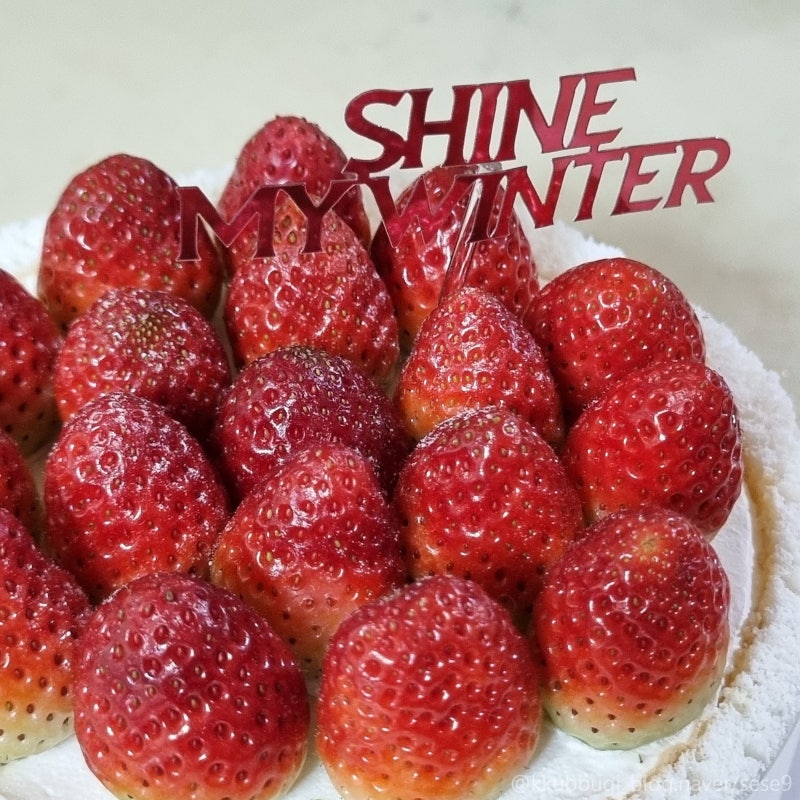 케이크 투썸플레이스 화이트 스초생 맛 후기 네이버 블로그