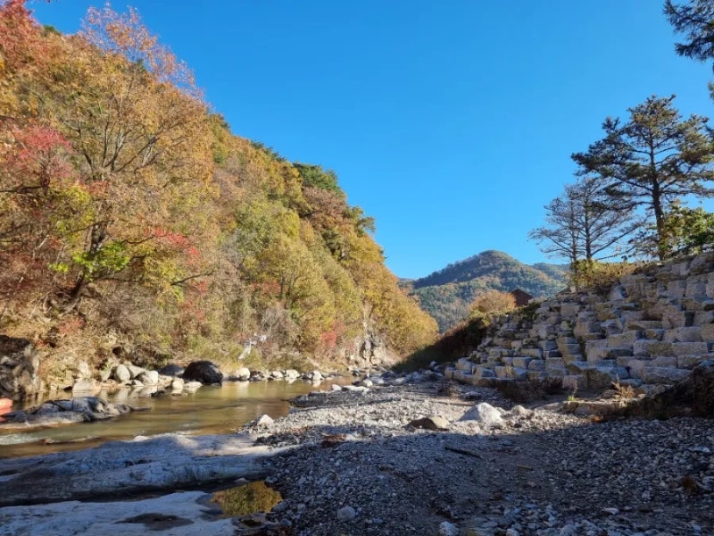 전북 무주 나봄리조트 본관 복층형 객실 5인 숙소 내돈내산 후기 네이버 블로그