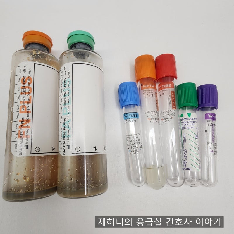 기본 혈액검사 검체와 채혈 튜브 순서 네이버 블로그