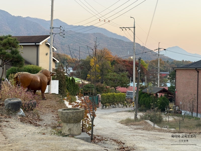 남양주 와부 끼리한우 가성비 한우 소고기 정육식당 내돈내산 네이버 블로그