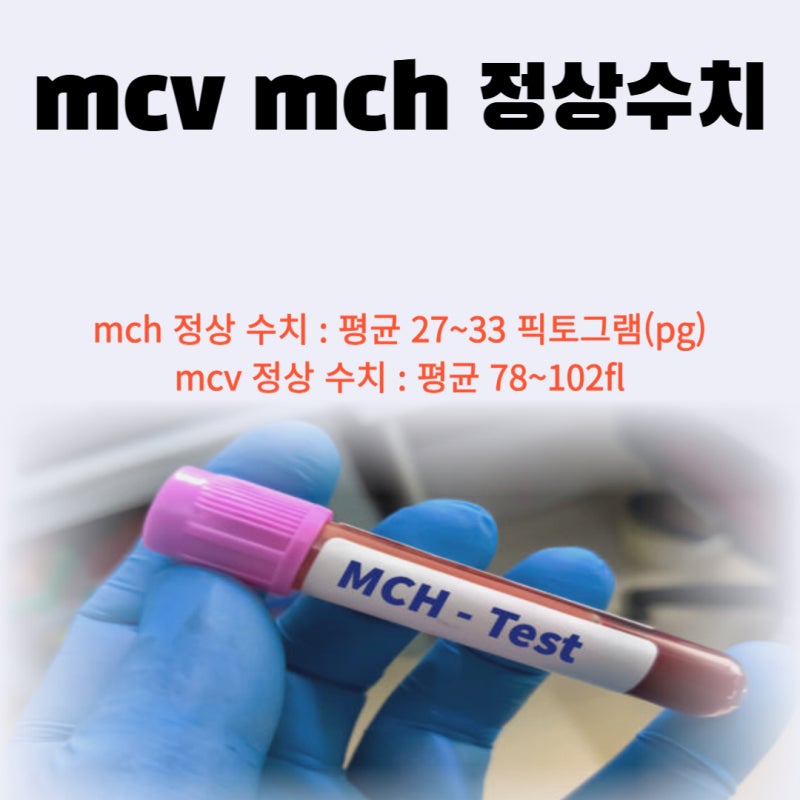 mcv mch 수치 높으면 나타날 수 있는 증상 정상 수치(낮으면) : 네이버 블로그