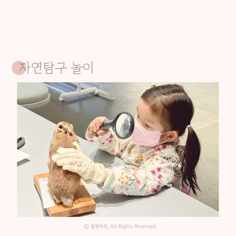 누리과정 자연탐구 영역 내용 놀이 종류 네이버 블로그
