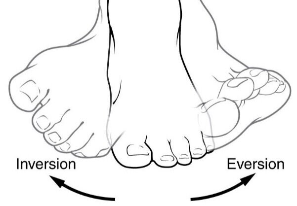 임상에서 자주 쓰는 물리치료사가 알아야 할 필수의학용어 3 : 네이버 블로그