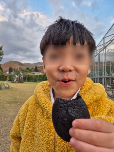 제주여행 제주 디저트 제주공항근처디저트 돌카롱 제주공항점 마돌렌 네이버 블로그