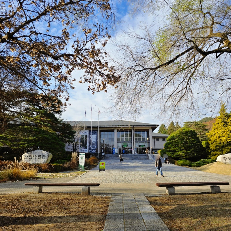 포천 국립수목원 예약 주차 단풍 광릉숲길 산림박물관 네이버 블로그