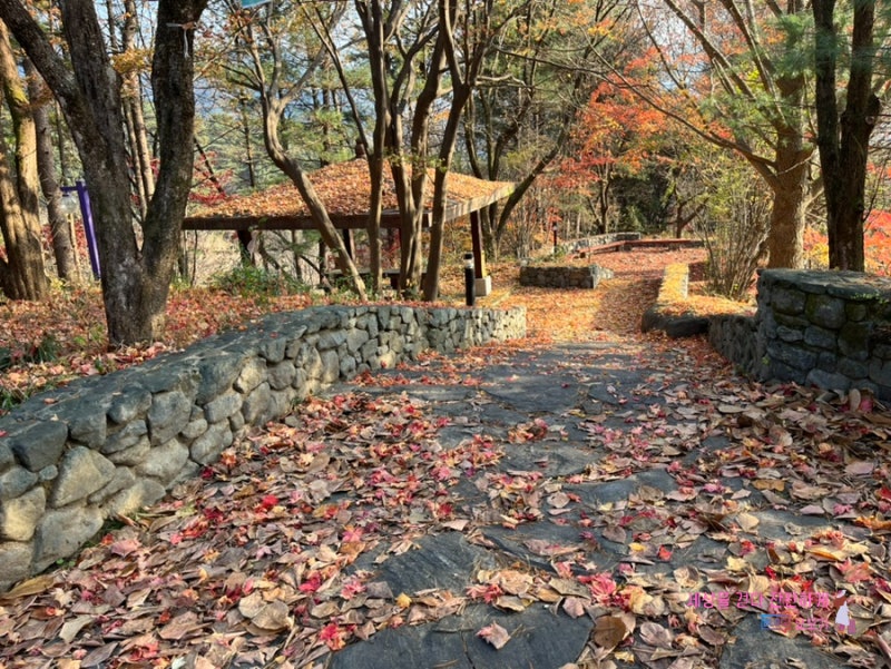 충주 수안보파크호텔 온천 노천탕 조식 후기 네이버 블로그
