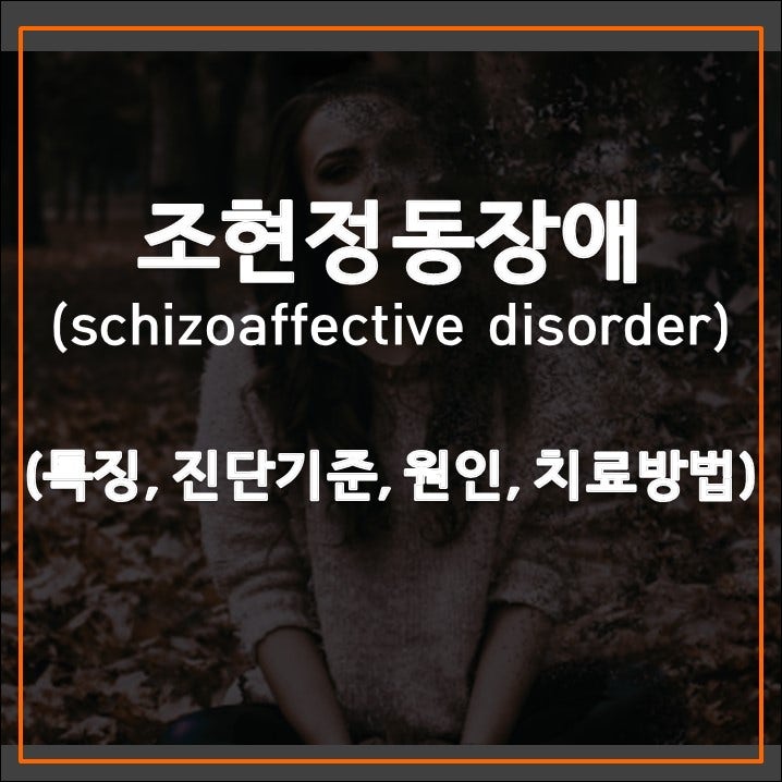 조현정동장애schizoaffective Disorder의 특징 진단기준 원인 및 치료 네이버 블로그