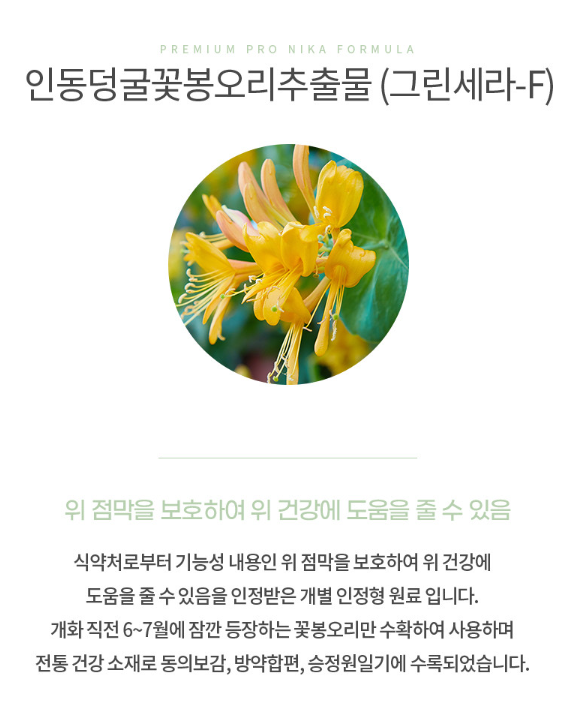 게비스콘 개비스콘 더블액션 가격 효능 겔포스 차이점 네이버 블로그