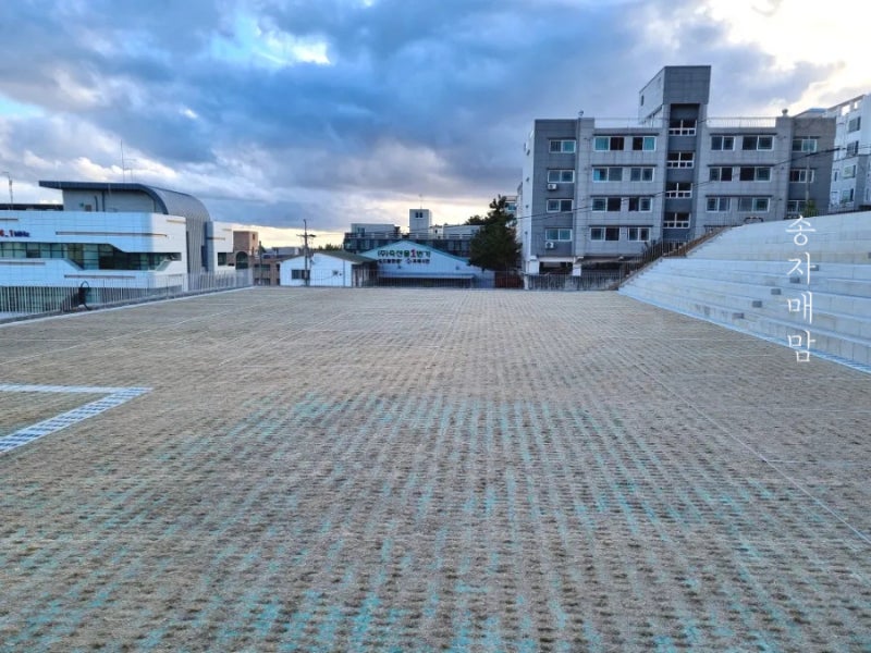울산 중구 성안동 태화복합문화공간 만디 쥬세뻬 비탈레 전시 체험 추천 아이와 가볼만하곳 네이버 블로그