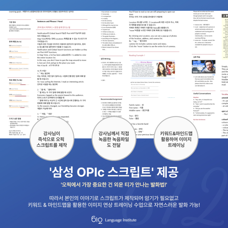 OPIc 전문가가 분석한 삼성 오픽 등급에 대한 모든 것! : 네이버 블로그