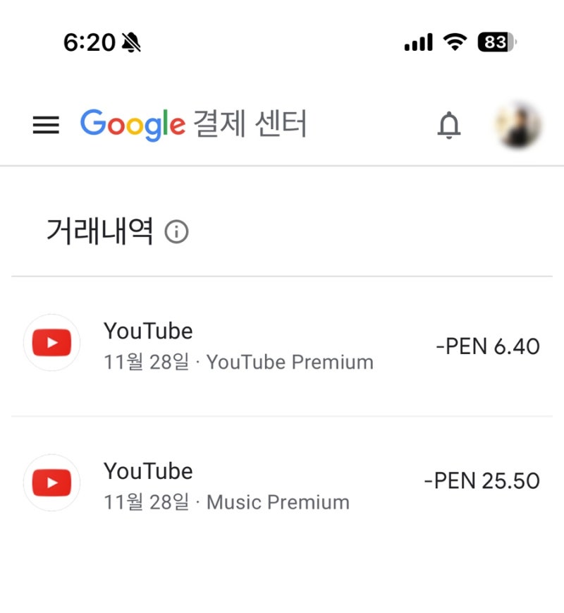 유튜브 프리미엄 페루 우회 방법 자세히 가족계정 성공 네이버 블로그