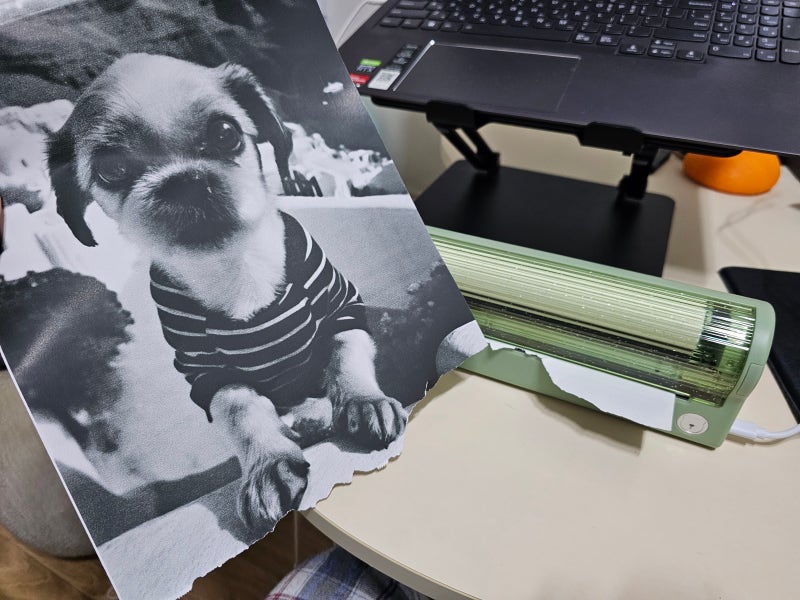 휴대용 열전사 프린터 페리페이지(PERIPAGE) P80 사용후기 : 네이버 블로그