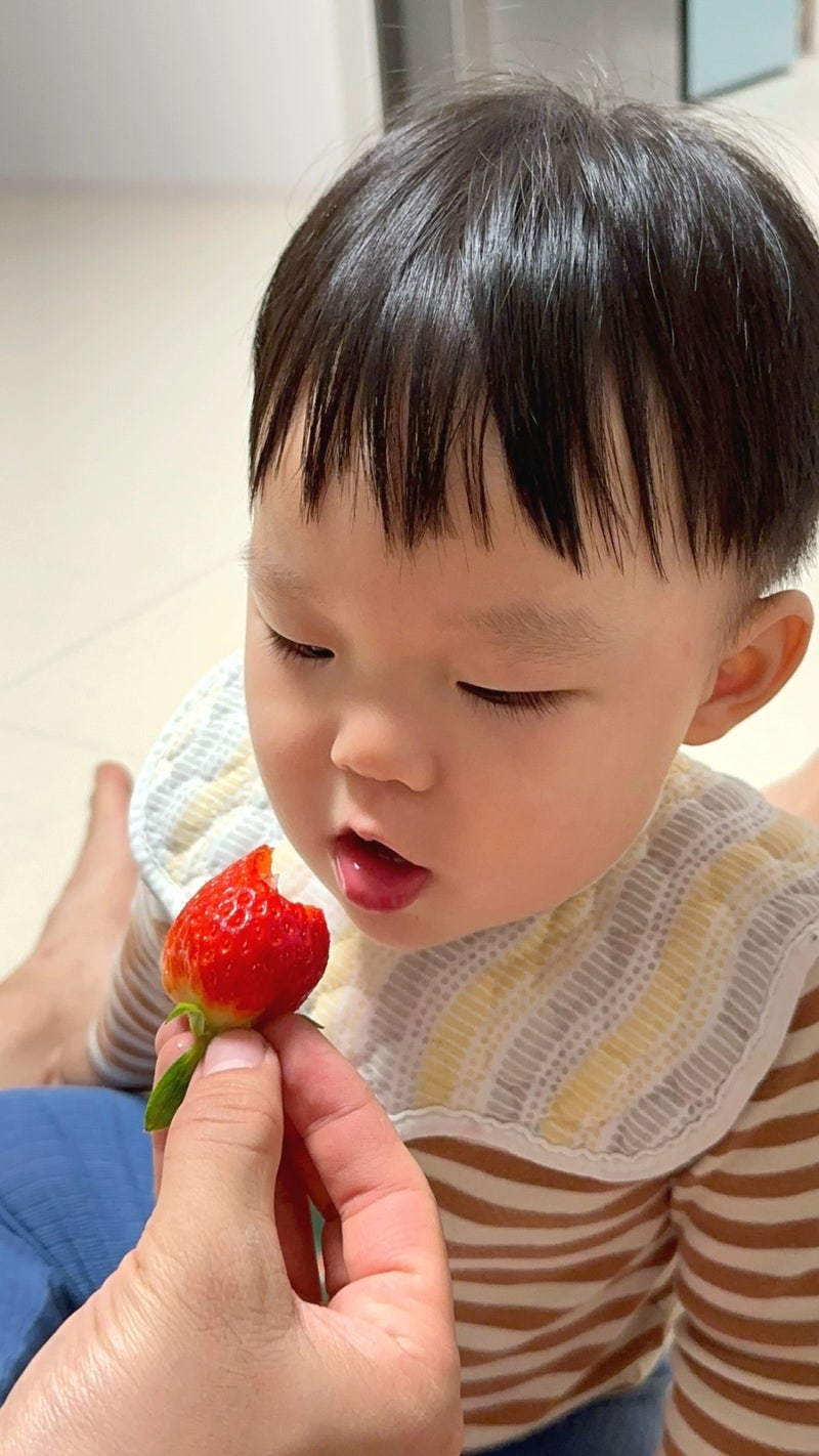 아기 딸기 언제부터 딸기 효능 세척 알레르기 주의사항 네이버 블로그