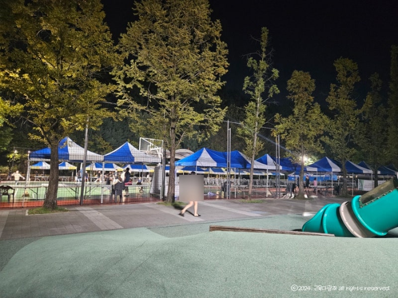 임신 9~12주 10주차 12주차 입체초음파 증상 체중변화 입덧 일상 네이버 블로그