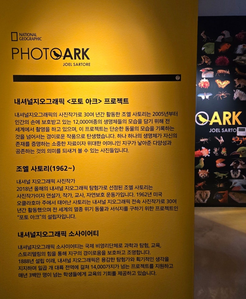 내셔널지오그래픽 사진전 전시정보 관람후기 뮤지엄209 네이버 블로그